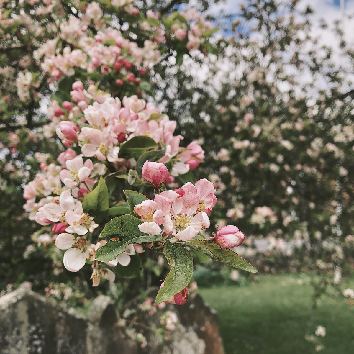 Shop – Love One Another Paper Co.